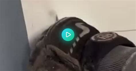 Reverse Album On Imgur