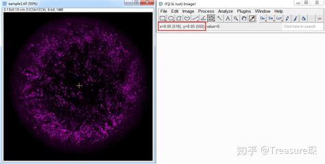 Imagej实用技巧——径向荧光平均值检测定量分析篇 知乎