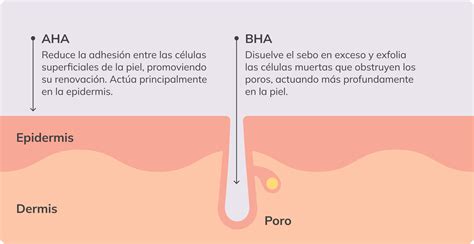 Ácido Salicílico Qué Es Para Qué Sirve Y Sus Beneficios Para La Piel