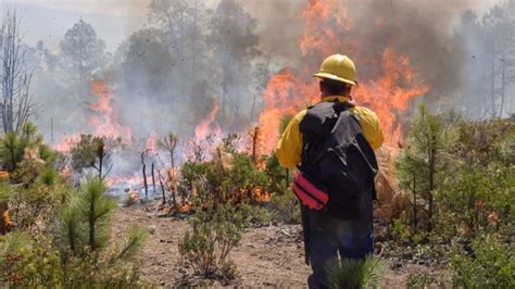 Chihuahua Combate 19 Incendios Forestales Activos Hoy 27 De Mayo Más