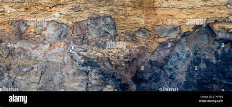 Sharp Contact Between Light Colored Limestone Layers And Underlying