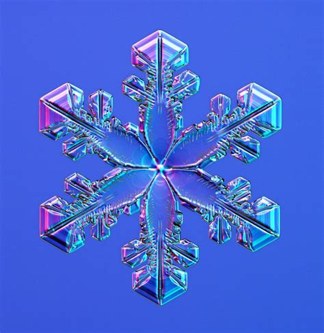 Snowflake Shapes Shine Under The Microscope Npr