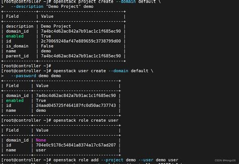 Openstack Csdn博客