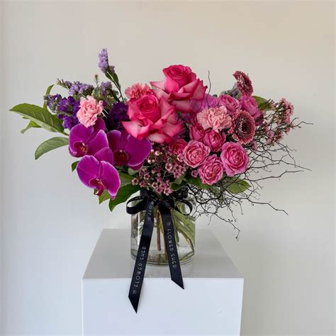 Princess Bubblegum The Flower Shed