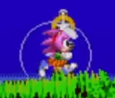 Amy Rose Sonic The Hedgehog Inside Bubble R Amyrose