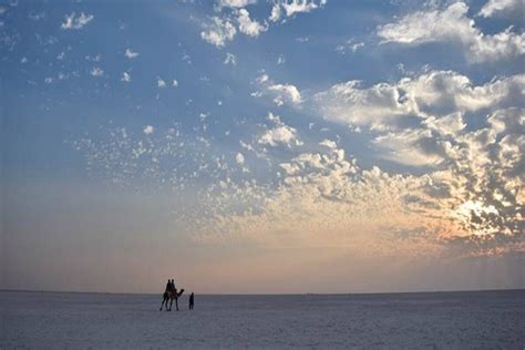 Gujarat Temperature To Rise Up To 5 Degrees By 2100 State Fund To