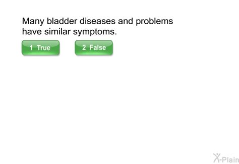 Bladder Diseases And Problems