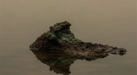 Differentiate Between Point Source And Nonpoint Source Pollution In A Watershed Context → Learn