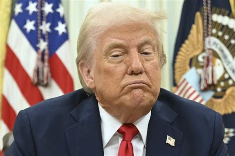 미 관세 앞두고 3월 자동차 판매 급증현대차 15 급증 뉴스 뉴스시세 팍스넷 증권포털