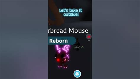 Watch Me Neon The Gingerbread Mouse In Adopt Me Roblox Adoptme