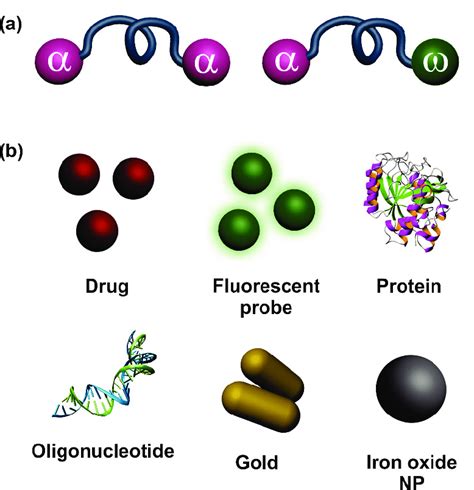 A Schematic Representations Of Homotelechelic Left And
