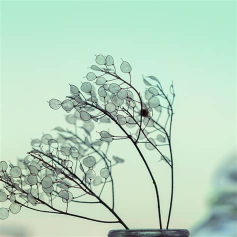 Silvia Scheerschmidt Youtube