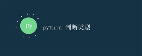 Python 判断类型 极客教程