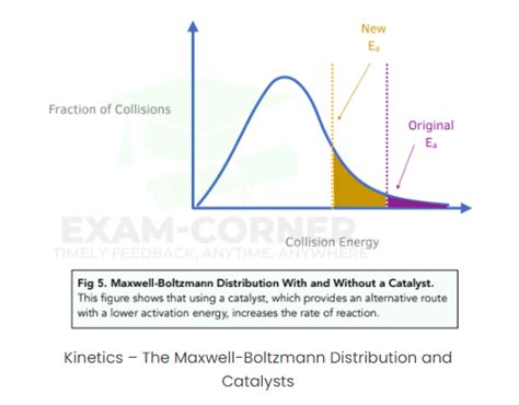 Kinetics The Maxwellboltzmann Distribution And Catalysts Exam Corner
