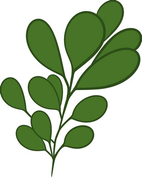 Plant Element Iilustration 35060486 Vector Art At Vecteezy