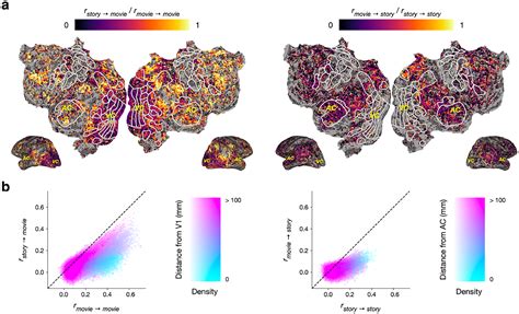 Brain Encoding Models Based On Multimodal Transformers Can Transfer Across Language And Vision Pmc