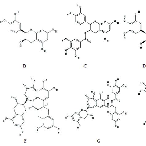 Chemical Structure Of Tea Polyphenols With Major Anti Hiv Activity A Download Scientific