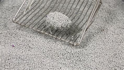 100 Natural Cat Litter Bentonite Custom Clumping Strong Clumping Eco