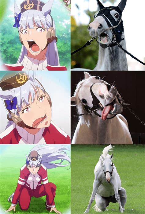 Anime Ot Winter 2024 The Year Of The Wise Wolf Animemanga Ot