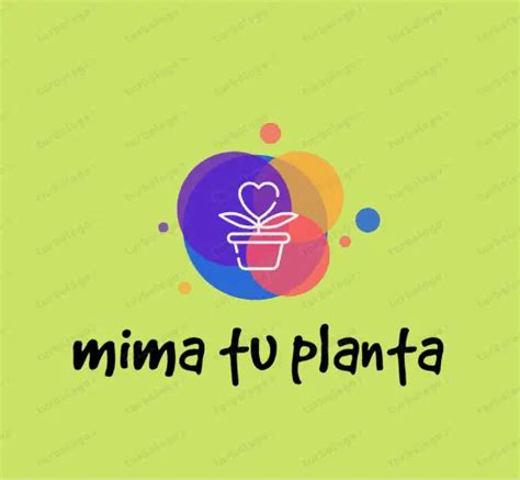 Planta De Interior Mima Tu Planta