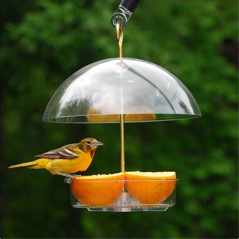 Droll Yankees® Seed Saver® Platform Bird Feeder X 1
