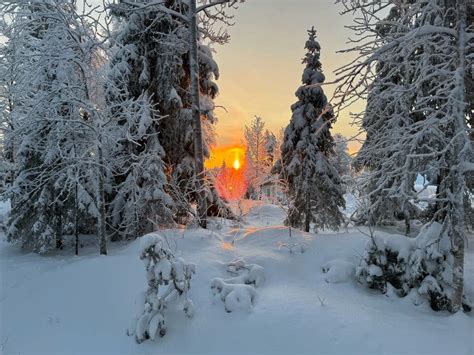 Café Rose Onnea 9 12 Anne Anna Anni Anu Anneli