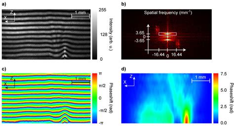 Interferometry Algorithm A Raw Interferogram B 2d Fourier Spectrum