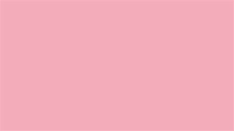 Pink Color Background Hd