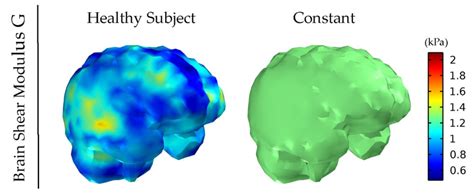Healthy Subjects Shear Modulus G Of The Brain Derived By Mre The