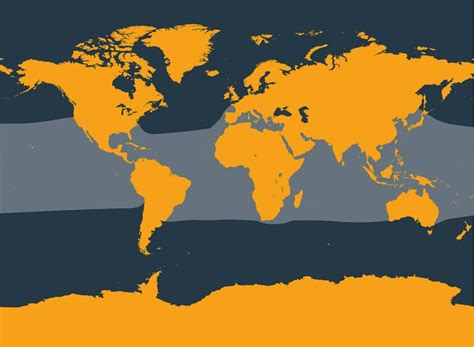 Rough Toothed Dolphin Whale And Dolphin Conservation Australia