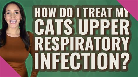Feline Respiratory Problems