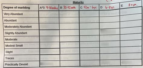 Usda Quality Grades Table Diagram Quizlet
