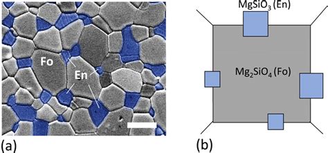 Microstructure Of Forsterite Fo 20 Vol Enstatite En Modified