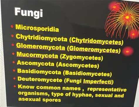 Solved Fungi Microsporidia Chytridiomycota Chytridomycetes