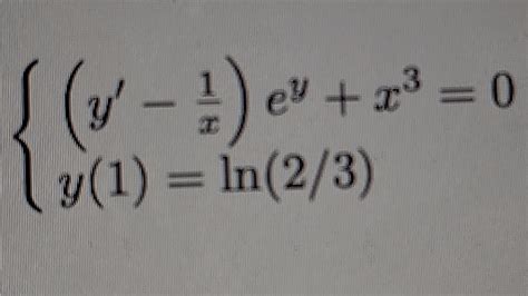 Cauchy Problem Raskmath