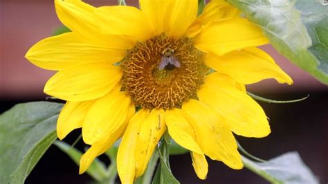 Rachel Talbott Racheltalbott Profile Pinterest