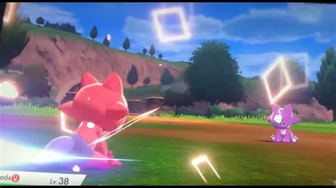 Ultra Shiny Toxel Amped Form Got Both Shiny Forms Pokémon Sword