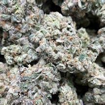 Blue Zushi Weed Strain Information Weedmaps