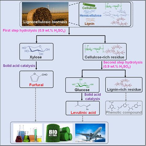 H2so4 Assisted Hydrothermal Conversion Of Biomass With Solid Acid Catalysis To Produce Aviation