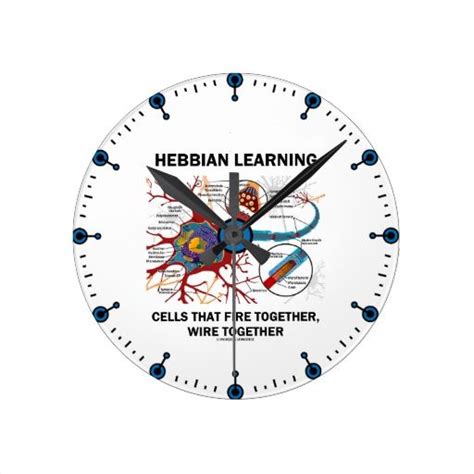 What Is Hebbian Learning