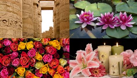 Corporate Flowers History From Ancient Egypt To Modern Day