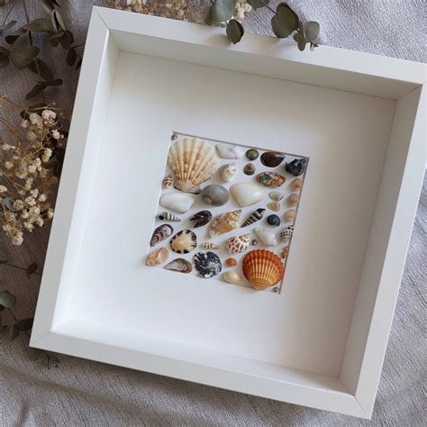 Shell Wall Decor Etsy