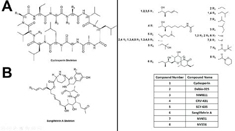 Chemical Structures Of Cyclophilin Inhibitors A Molecular Skeleton