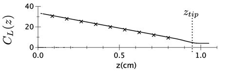 Steady State Dendritic Solidification Concentration In The Liquid