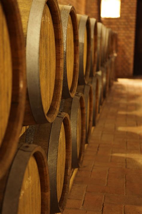 Gelbmann Birtok Visit Tata