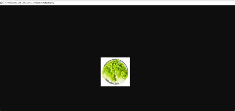 Nginx 配置访问图片路径和静态页面 山的那头也是田 博客园