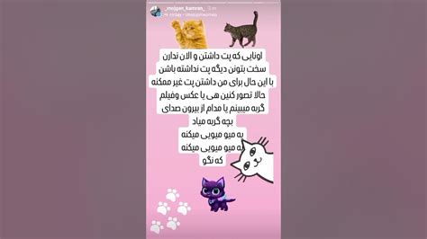 میو میو Youtube