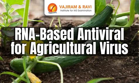 Rna Based Antiviral For Agricultural Virus Types Latest News