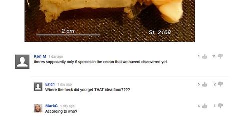 Best Of Ken M Volume 3 Album On Imgur