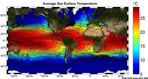 76 Relationship Of Salinity Density And Temperature Geosciences